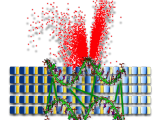 Rna Seq Data Analysis Rna Seq Data Analysis Workflow