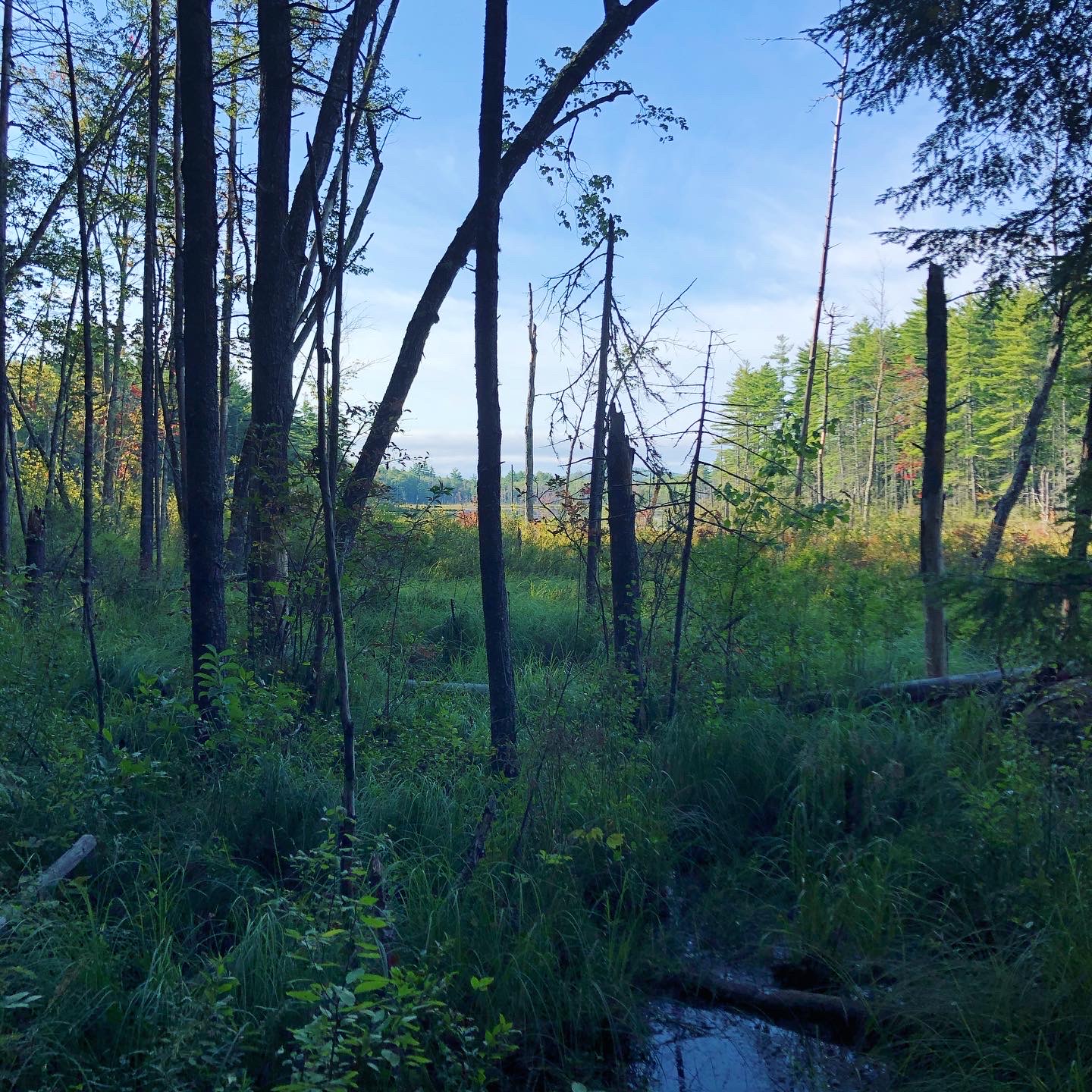 August Recap 2020 – geoffwhaley.com