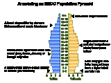 Population Pyramid Buddinggeographers