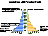 Population Pyramid Buddinggeographers