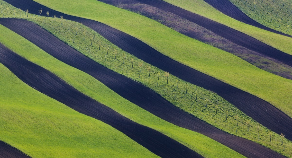 What are soil conservation practices? 🌳