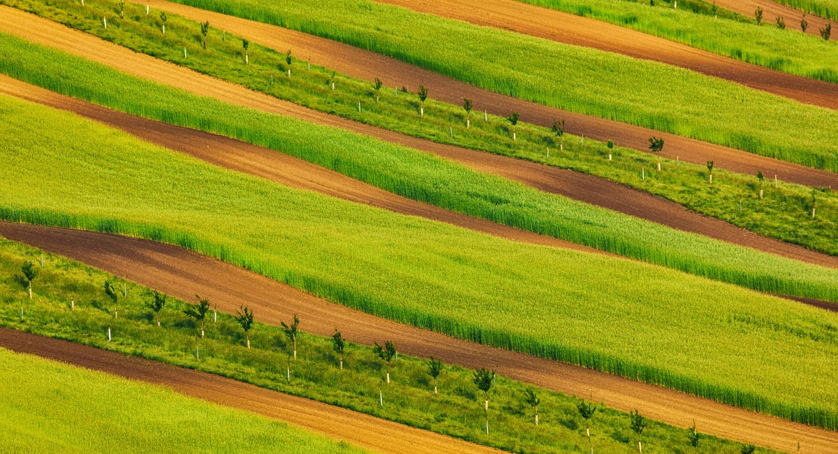 What are soil conservation practices? 🌳