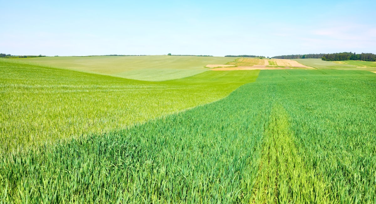 What are soil conservation practices? 🌳