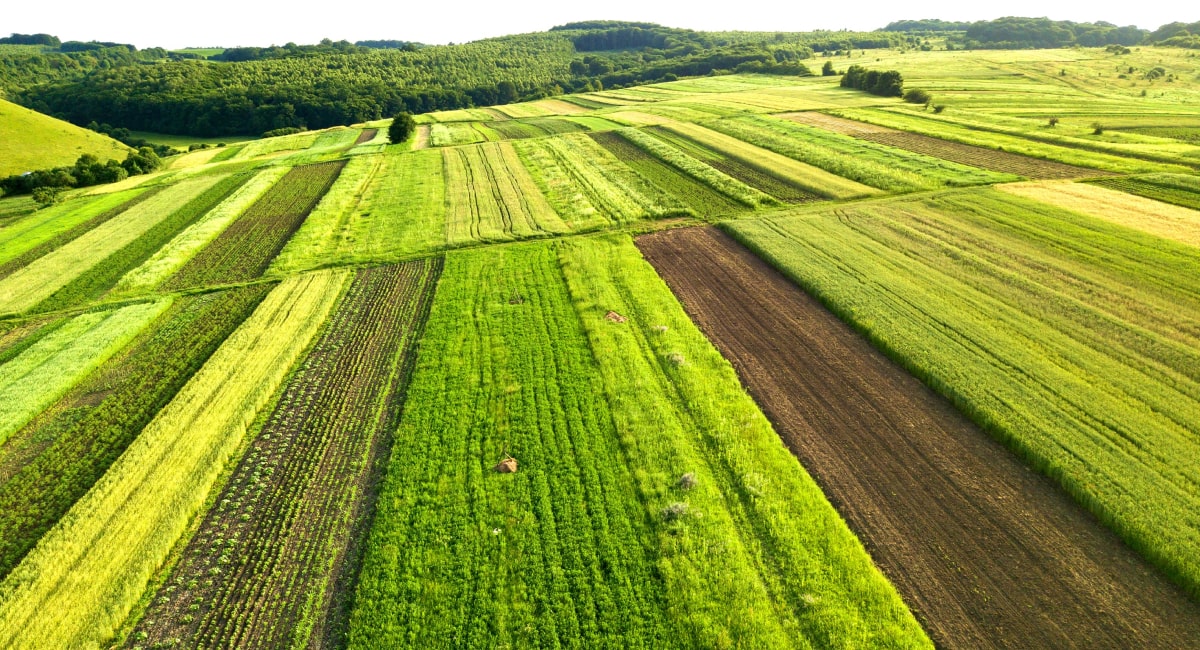 What are soil conservation practices? 🌳