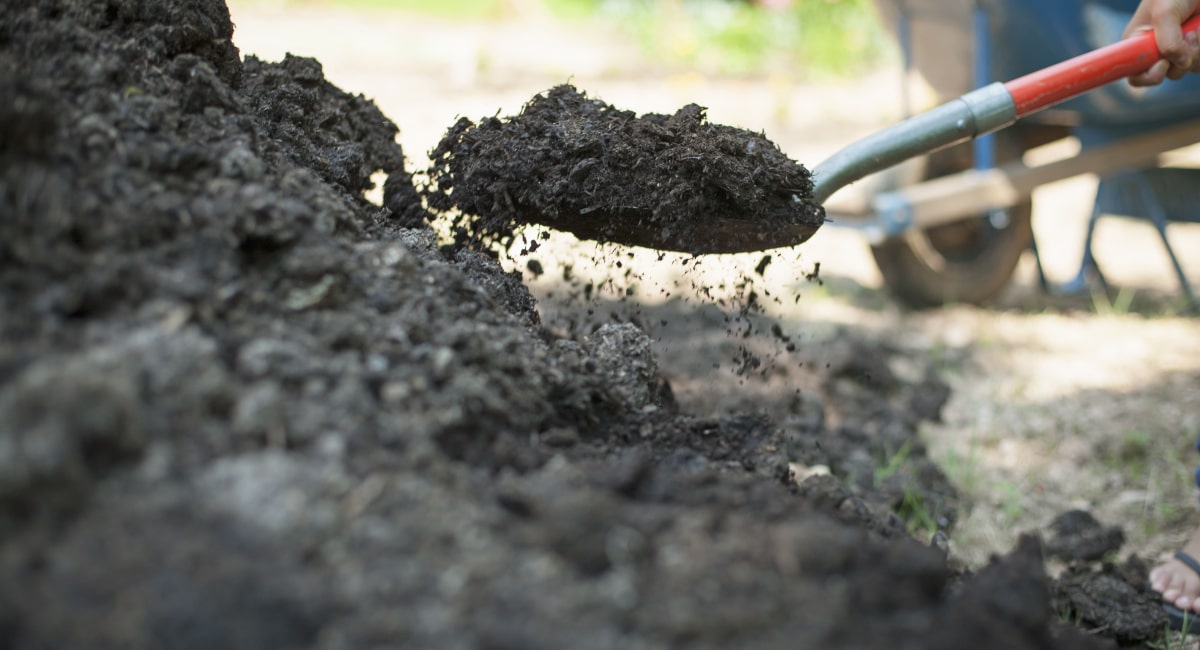 What are soil conservation practices? 🌳