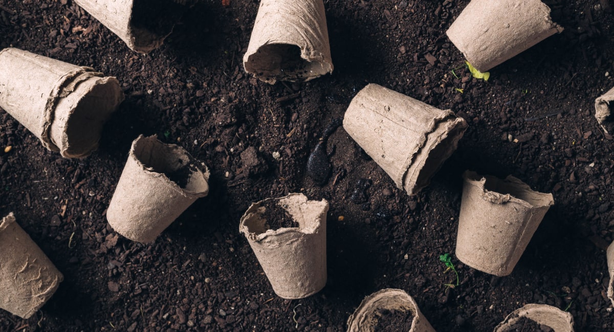 What are types of soils and their characteristics 🌼