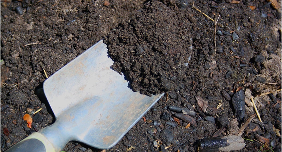 What are types of soils and their characteristics 🌼