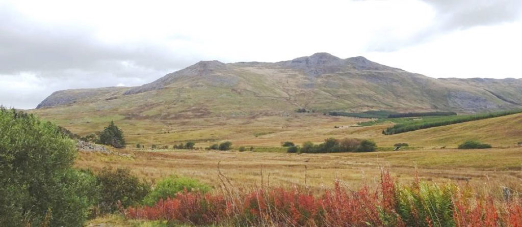 May – The Arenig Mountains | Geoscience Wales