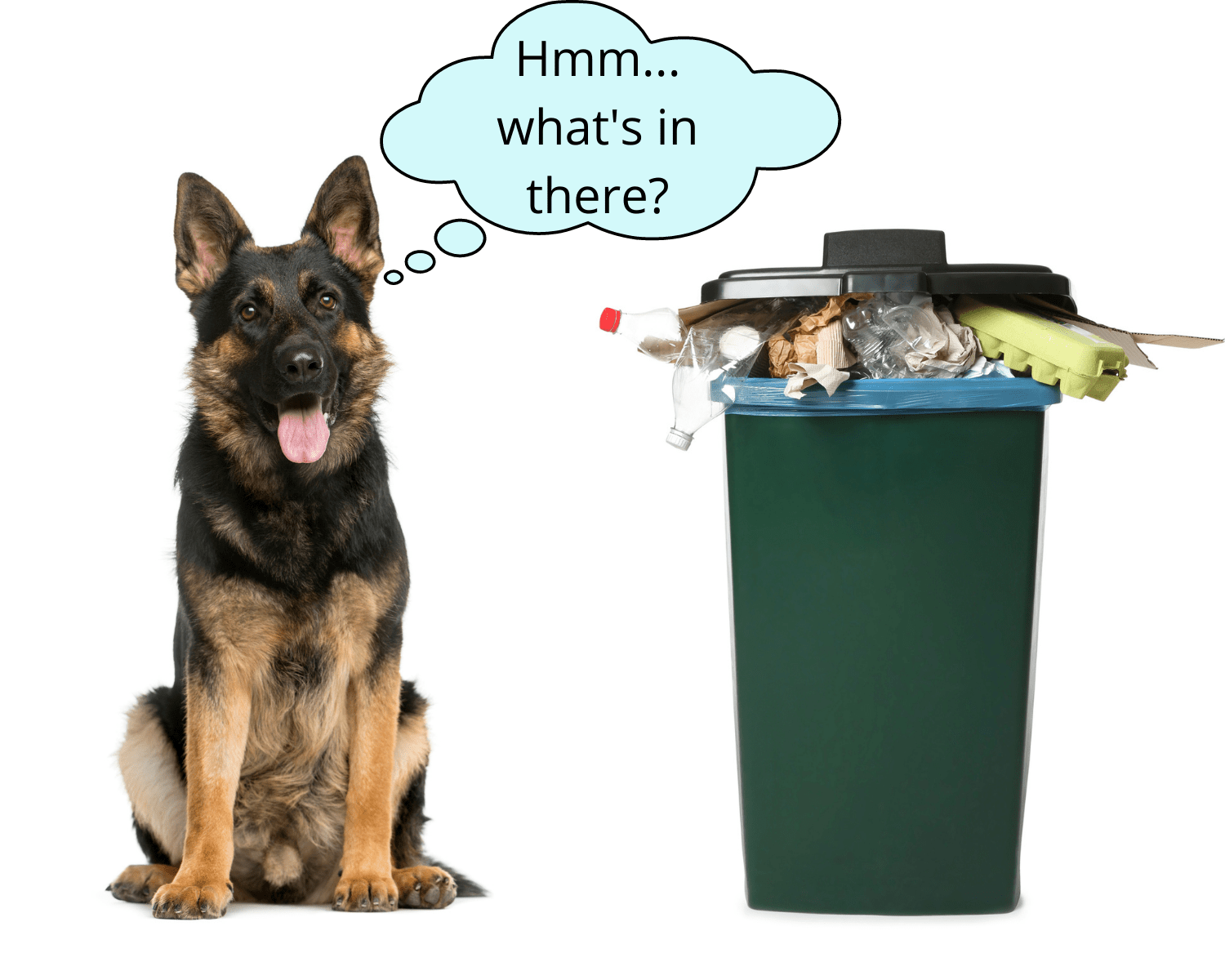 German Shepherd Proof Garbage Cans - German Shepherd Dog HQ