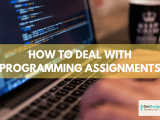 How To Deal With Programming Assignments