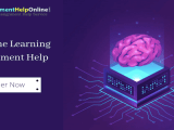 Machine Learning Assignment Help Homework Help A Grade
