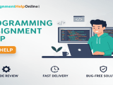 Programming Assignment Help Online Programming Homework Help