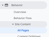 Google Analytics Behavior Report Datable