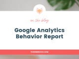 Google Analytics Behavior Report Datable