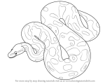 Python Snake Drawing At Getdrawings Free Download