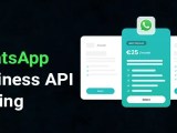 Whatsapp Business Api Pricing Structure
