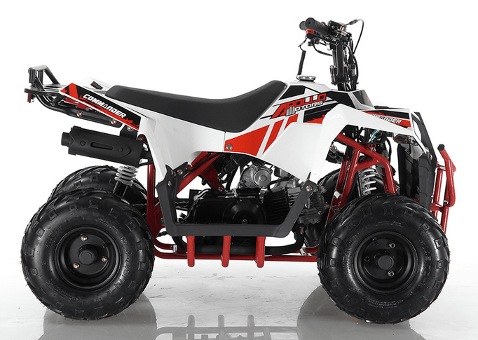 Apollo Mini-Commander 110 ATV (w/REVERSE) | GET THE MAX out of Life!