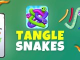 Tangled Snakes Puzzle Game Buy Unity Source Code Get Unity Code