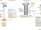 Highlights Of R Based Flow Cytometry Tools And Flowcap