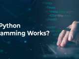 How Python Programming Works