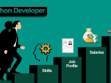 Python Developer Salary In India For Fresher Experienced