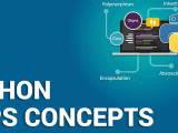 Python Oops Concepts