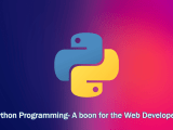 Python Programming A Boon For The Web Developers Python Programming