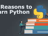 10 Reasons To Learn Python