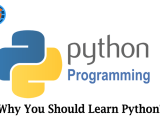 Why Should You Learn Python