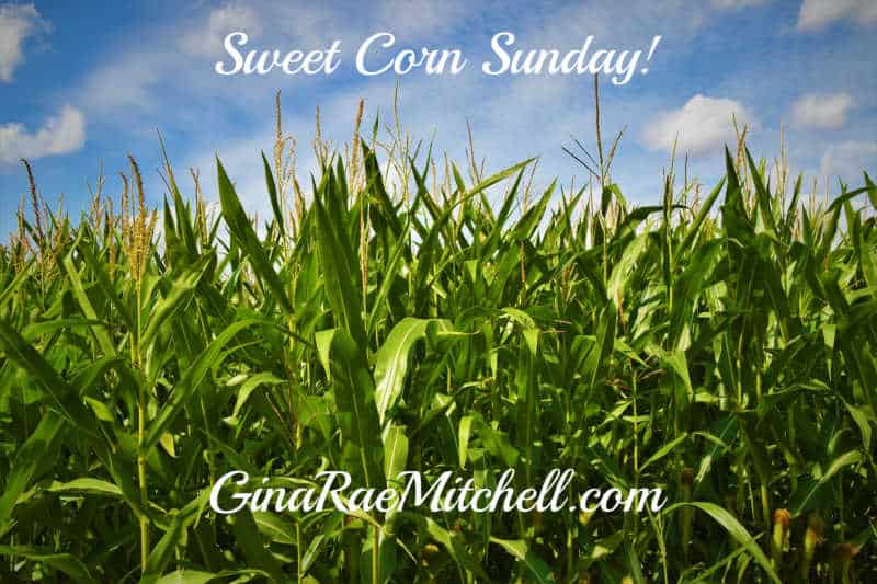 Sweet Corn Sunday – Freeze Fresh Corn For Winter – Gina Rae Mitchell