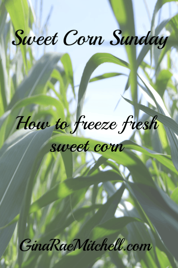 Sweet Corn Sunday | Freeze Fresh Corn For Winter | Gina Rae Mitchell