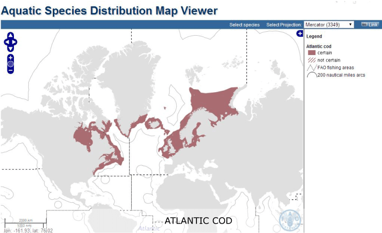 G. Ingason Seafood ATLANTIC MACKEREL MARKETS & DISTRIBUTION