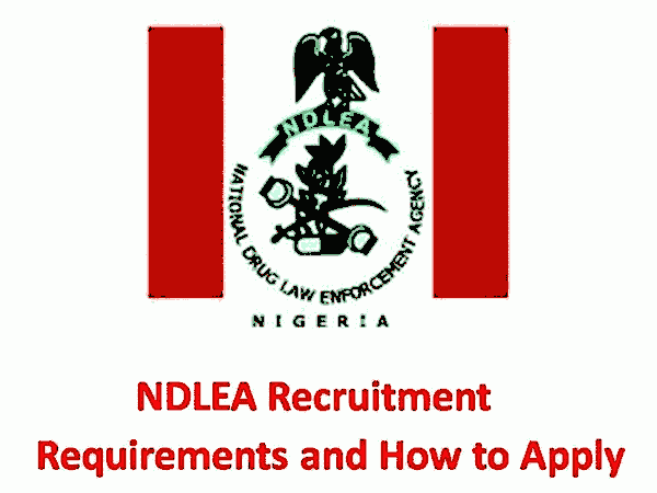 Apply For NDLEA Job Recruitment 2023 | Gistcore Media
