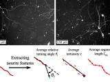 Github Cmu Cbml Fdngcnn Feature Driven Neuron Growth Cnn Machine