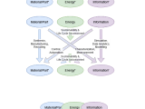 Github General Process Ontology Ontology