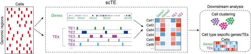 Github Jiekailab Scte - Best Mountain Arts in 4K
