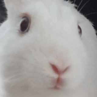 Github React Deep Dive Study React Deep Dive Study