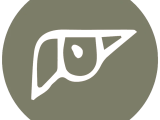 Github Visual Agent Deepeyes