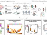Github Zjufanlab Scniche A Computational Framework To Identify And