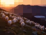Github Alpharaoh Quadtree Compression Image Compression Program