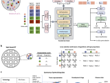 Github Csh3 Stformer A Foundation Model For Spatial Transcriptomics