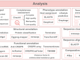 Github Deepomicslab Phagescope Phagescope A Well Annotated