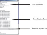 Github Ethering Rat