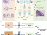 Github Gao Lab Passage Phenotype Associated Spatial Signature