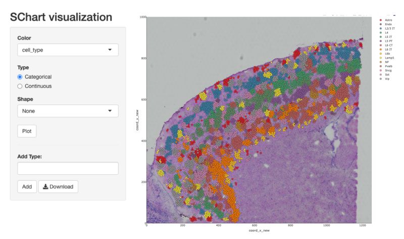 Github Navinlabcode Celltrek - City Image Collection - Mobile Quality