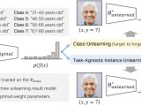 Github Ndb796 Machineunlearning Towards Machine Unlearning