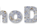 Github Openmedlab Pathoduet