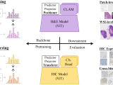 Github Openmedlab Pathoduet