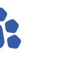 Github Pgdogdev Pgdog Postgresql Connection Pooler Load Balancer