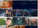 Github Programster Tutorial Css Grid Layout Gallery The Source Code